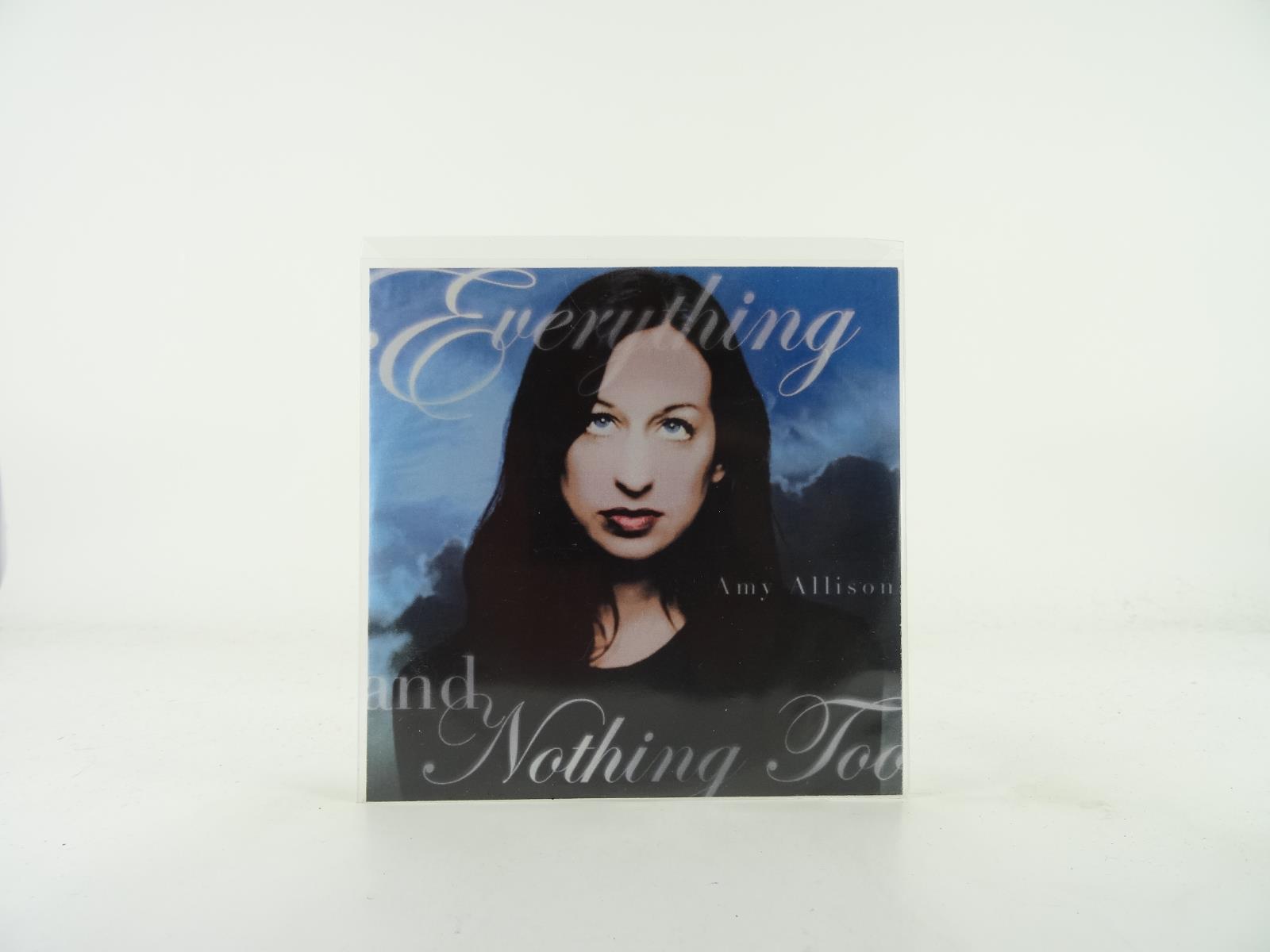 AMY ALLISON EVERYTHING AND NOTHING TOO (115) 13 Track Promo CD Album ...
